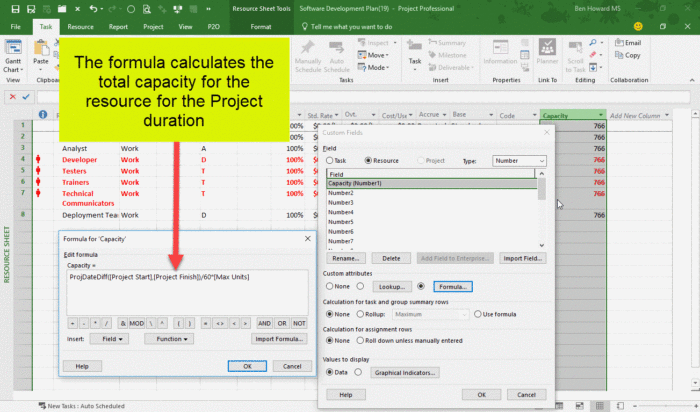 Resource work and capacity graphs in MS Project - Applepark