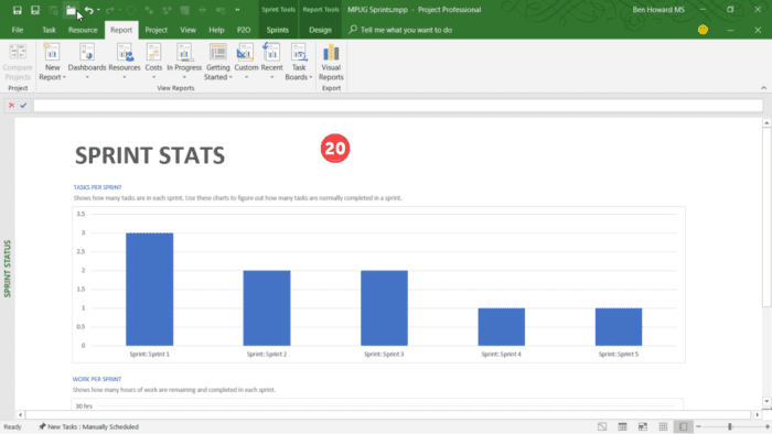 Managing Sprints in Project – Applepark